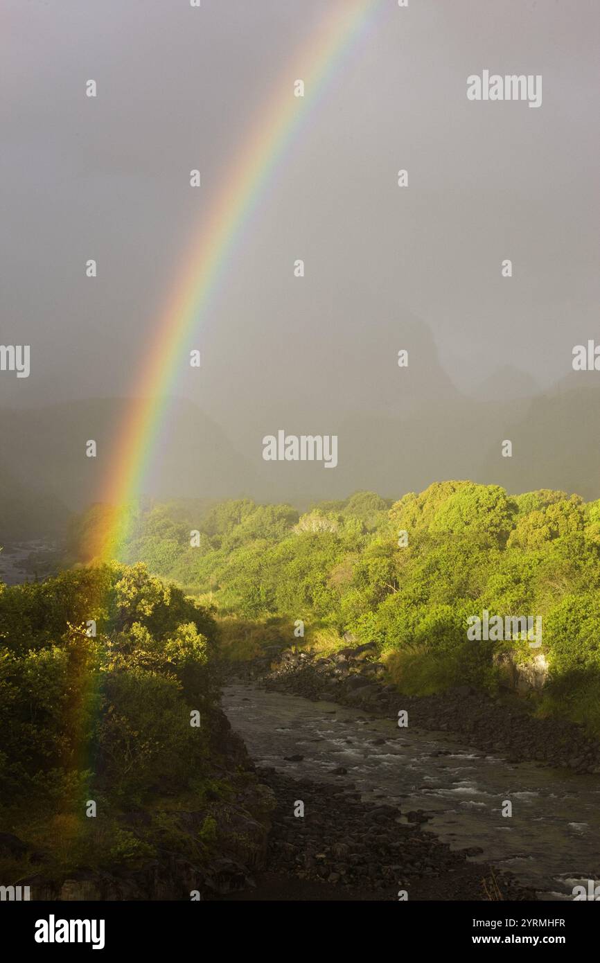 Riviere du Mat river valley and rainbow, Cirque de Salazie, Reunion ...