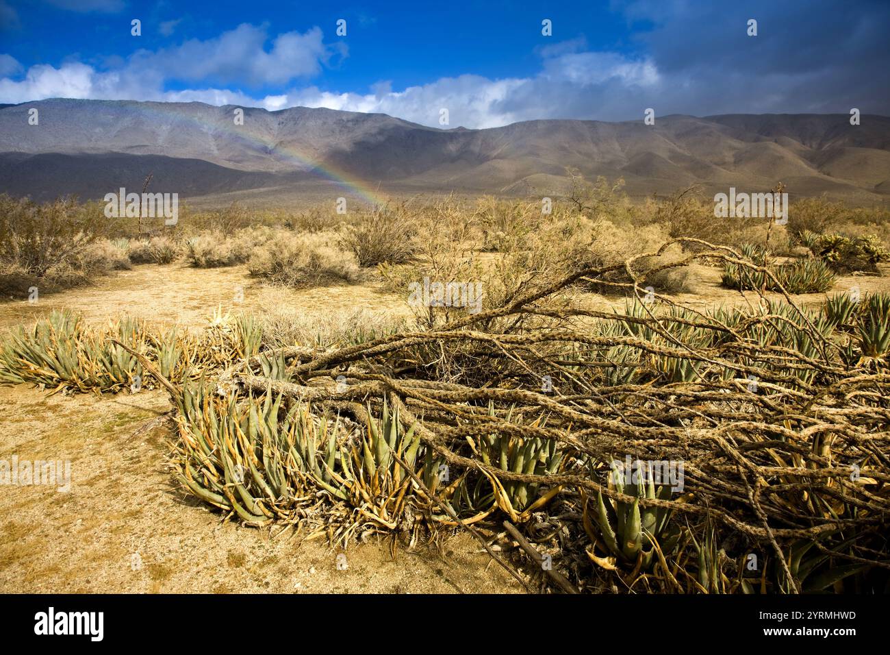 Landscape, Anza-Borrego Desert State Park, California, USA Stock Photo ...