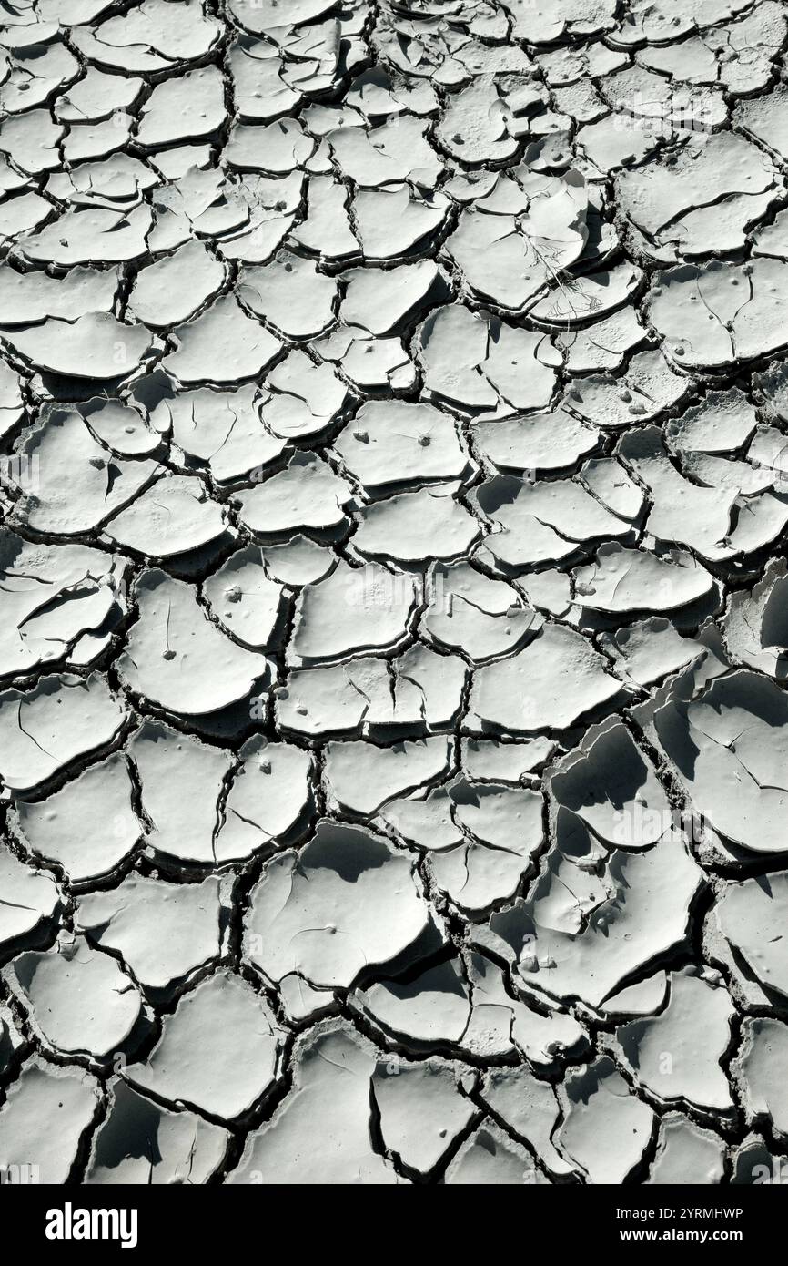 Dried lake bed, Salton Sea area, Bombay Beach, California, USA Stock ...