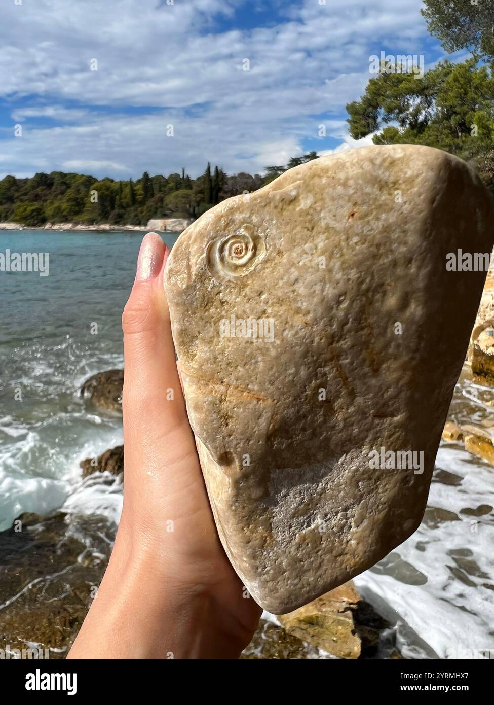 An ancient Ammonoidea Ammonite naturally imprinted on a stone on the ...
