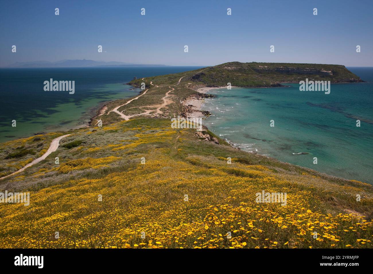 Italy, Sardinia, Oristano Region, Sinis Peninsula, Tharros, ruins of ...