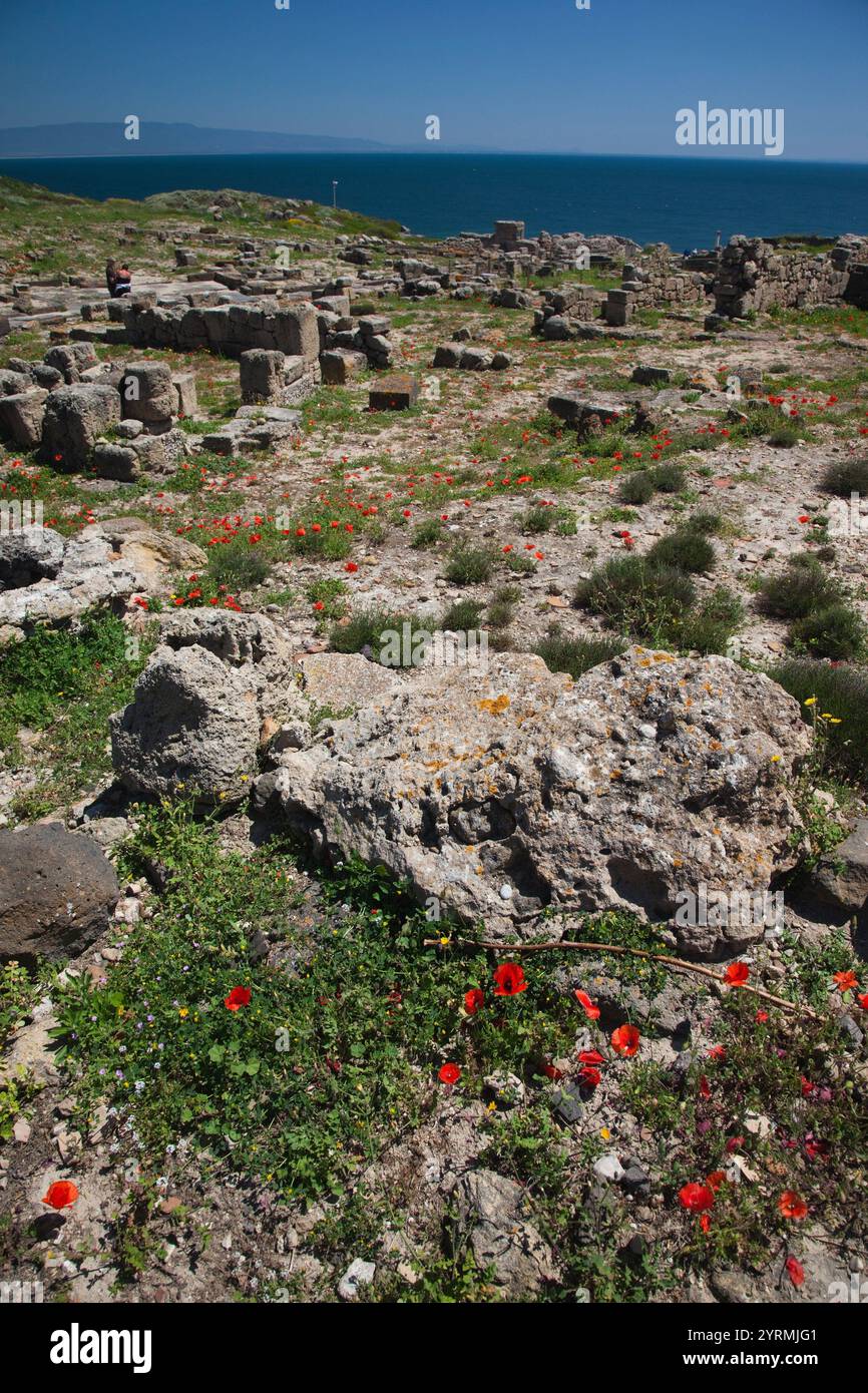 Italy, Sardinia, Oristano Region, Sinis Peninsula, Tharros, ruins of ...