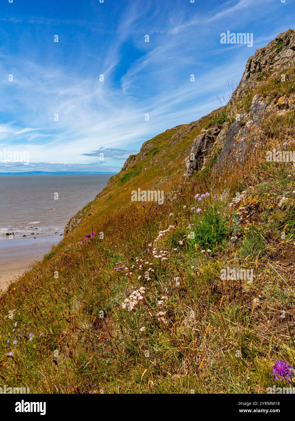 Brean Down a carboniferous limestone promontory on the Bristol Channel ...