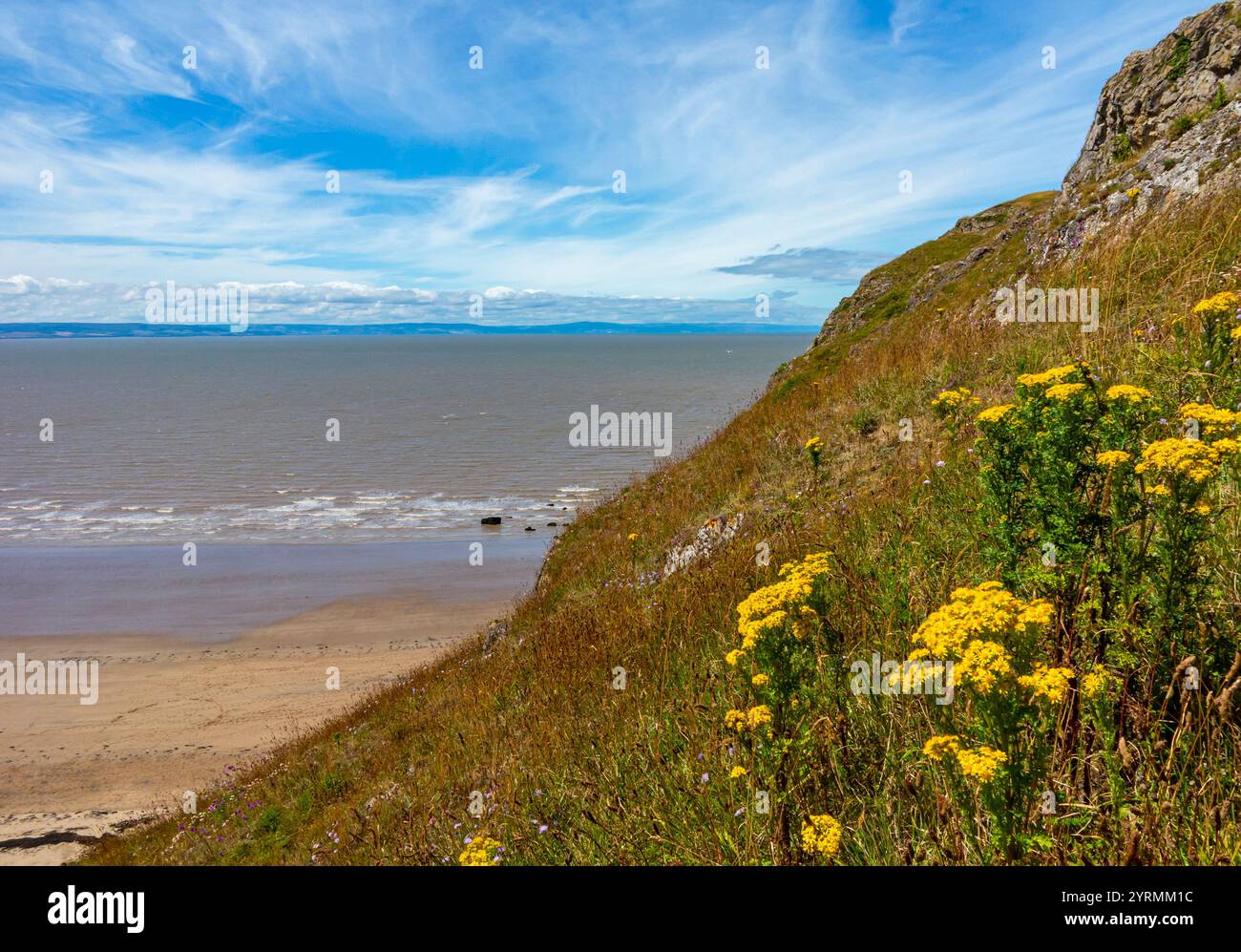 Brean Down a carboniferous limestone promontory on the Bristol Channel ...