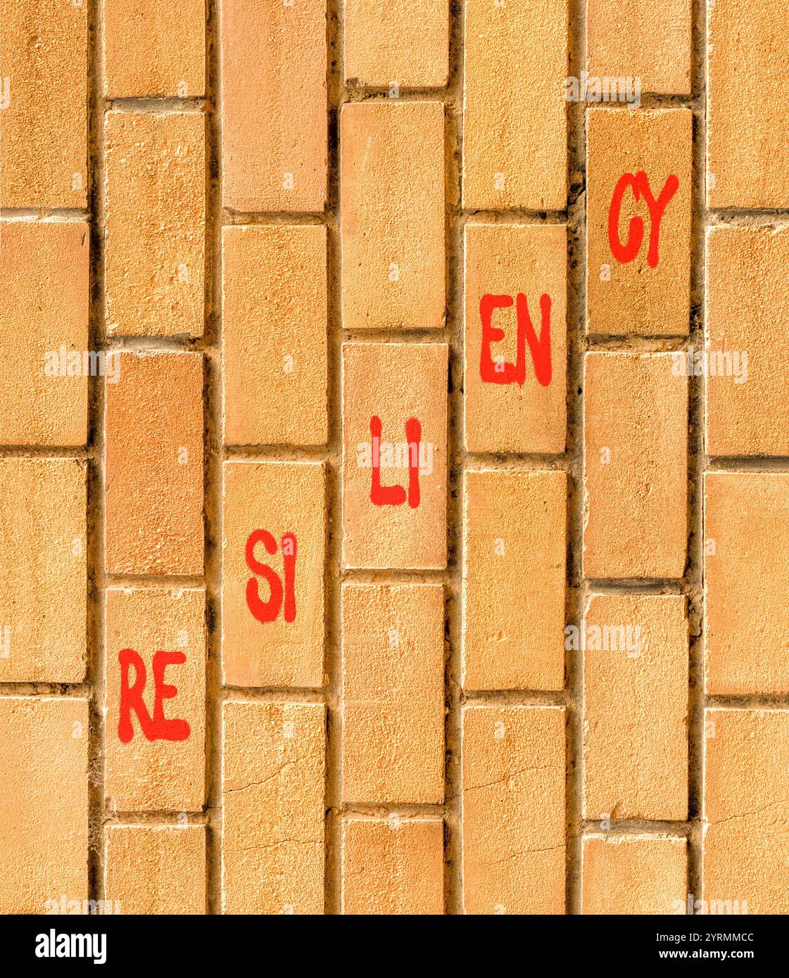 Resiliency symbol. Concept word Resiliency on beautiful brown bricks ...
