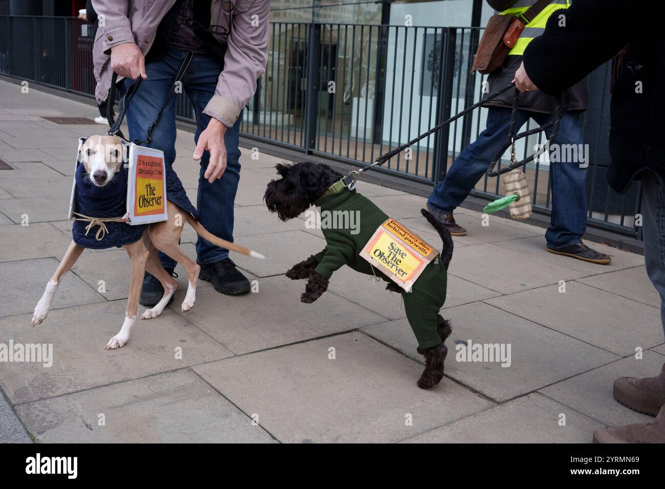 Striking journalists and production workers with the Observer and ...