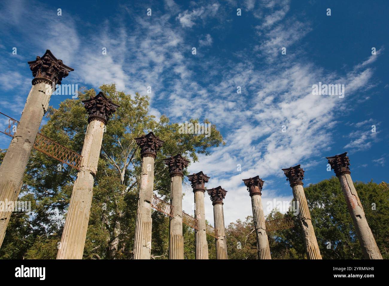 USA, Mississippi, Port Gibson-area, Windsor Ruins, standing columns ...