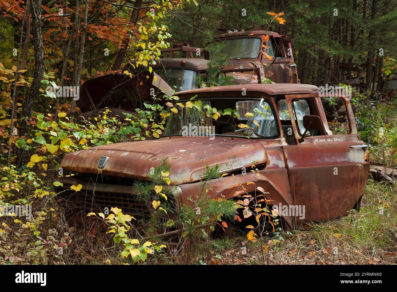 USA, West Virginia, Seneca Rocks, old pickup trucks, autumn Stock Photo ...