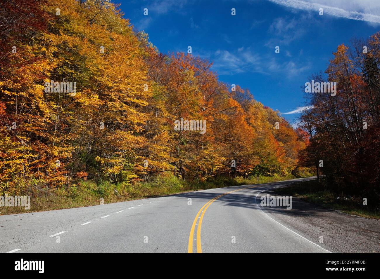 USA, West Virginia, Cheat Bridge, Monongahela National Forest, fall ...