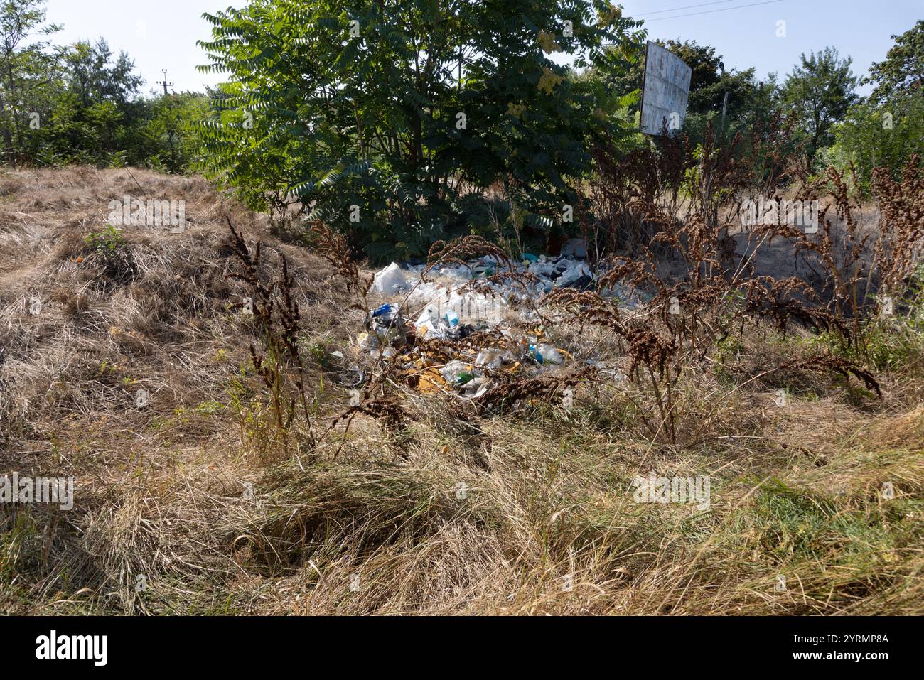 Household Garbage Pile Illegal Dumping Forest Pollution Environmental ...