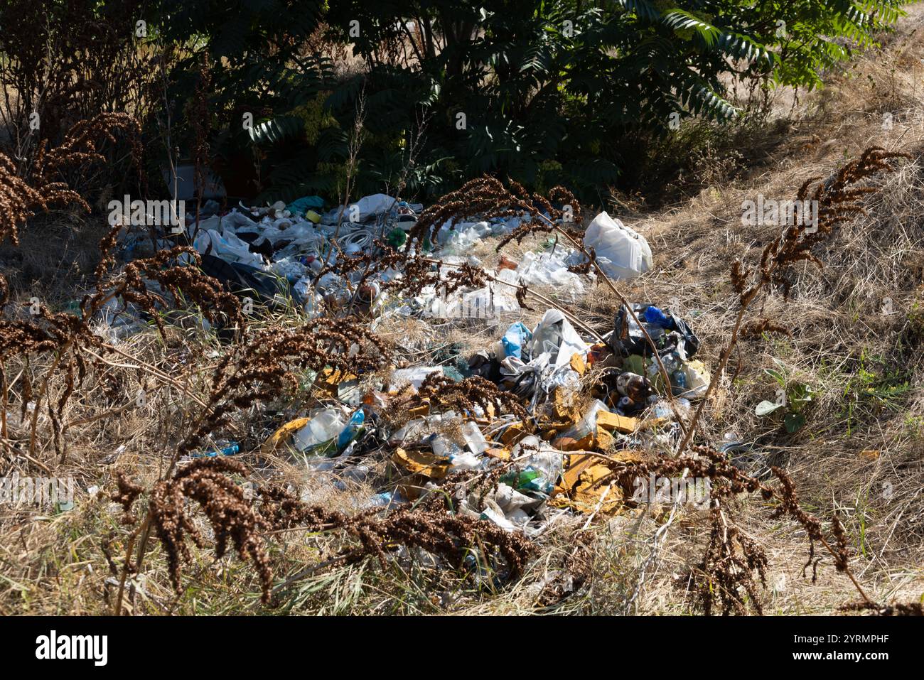 Household Garbage Pile Illegal Dumping Forest Pollution Environmental ...