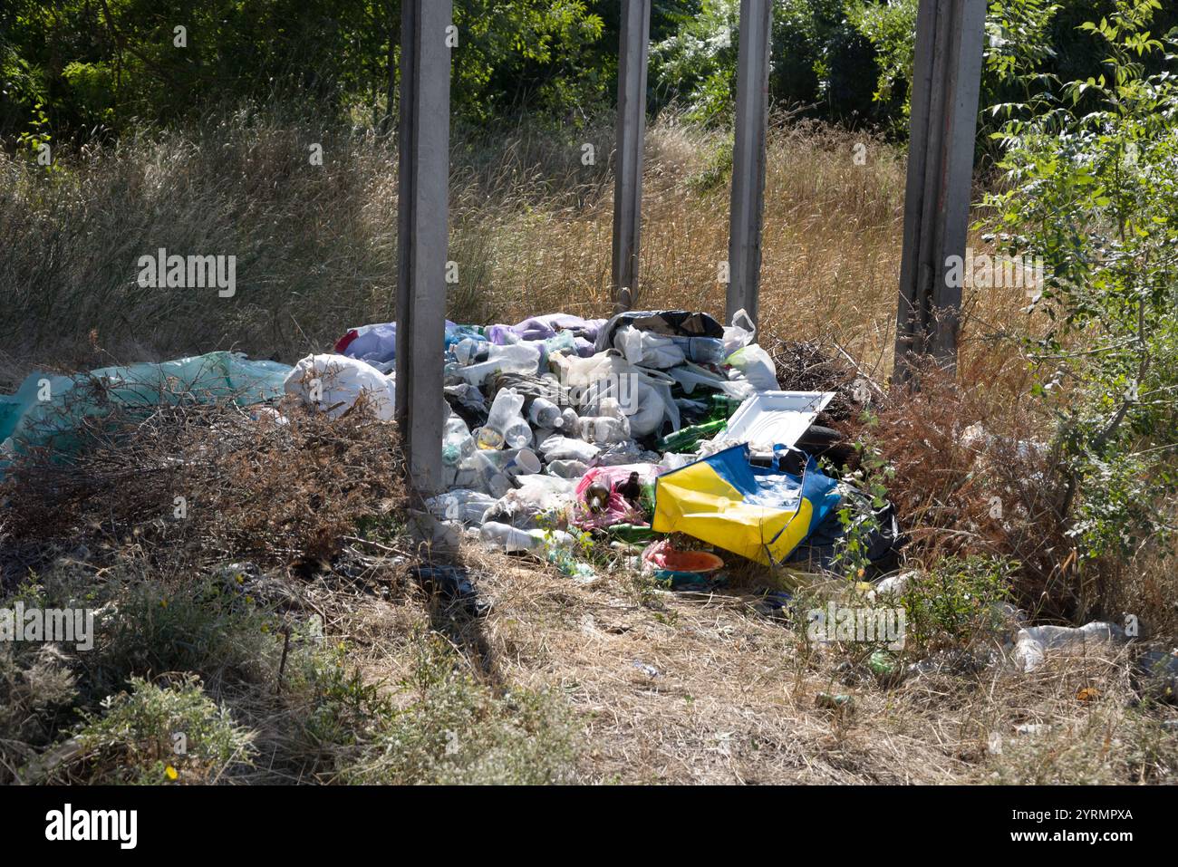 Household Garbage Pile Illegal Dumping Forest Pollution Environmental ...