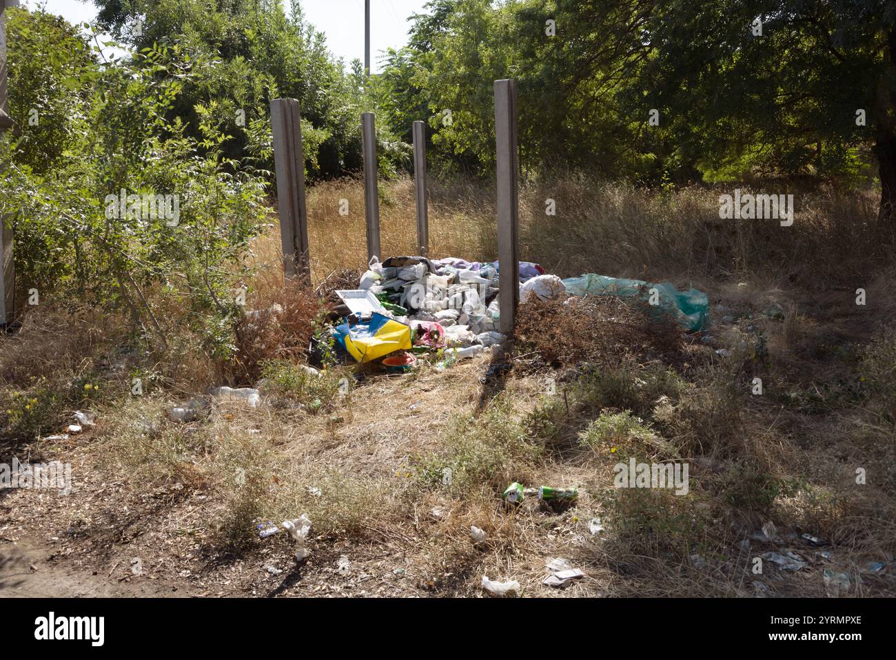 Household Garbage Pile Illegal Dumping Forest Pollution Environmental ...