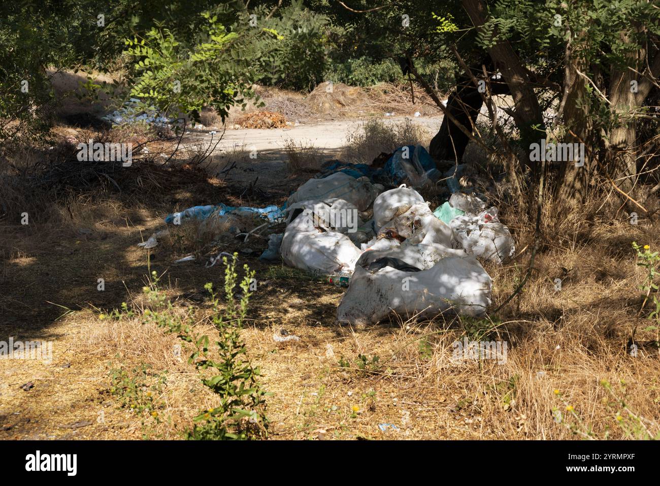 Household Garbage Pile Illegal Dumping Forest Pollution Environmental ...