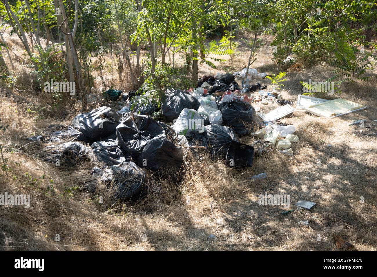 Household Garbage Pile Illegal Dumping Forest Pollution Environmental ...