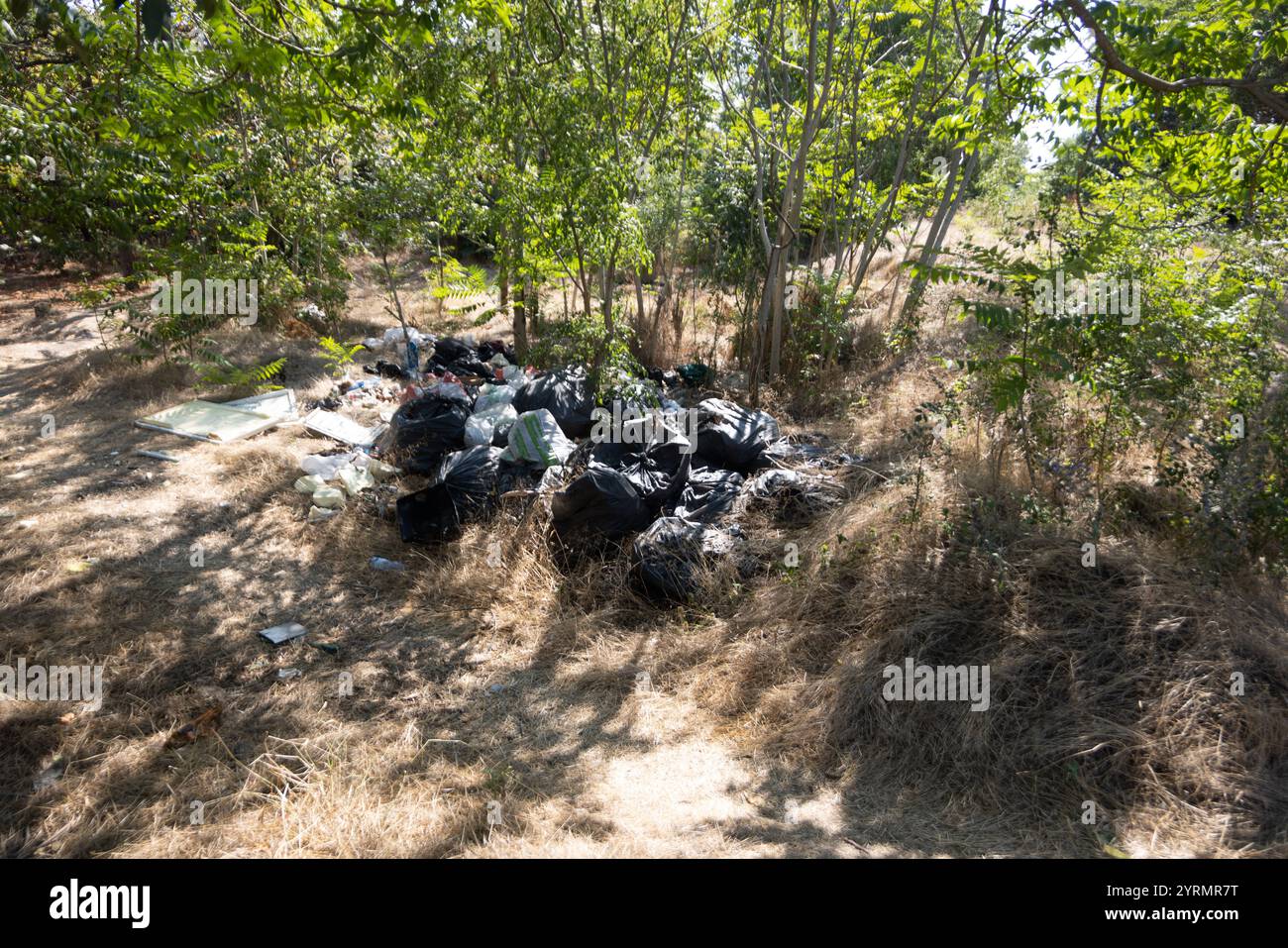 Household Garbage Pile Illegal Dumping Forest Pollution Environmental ...