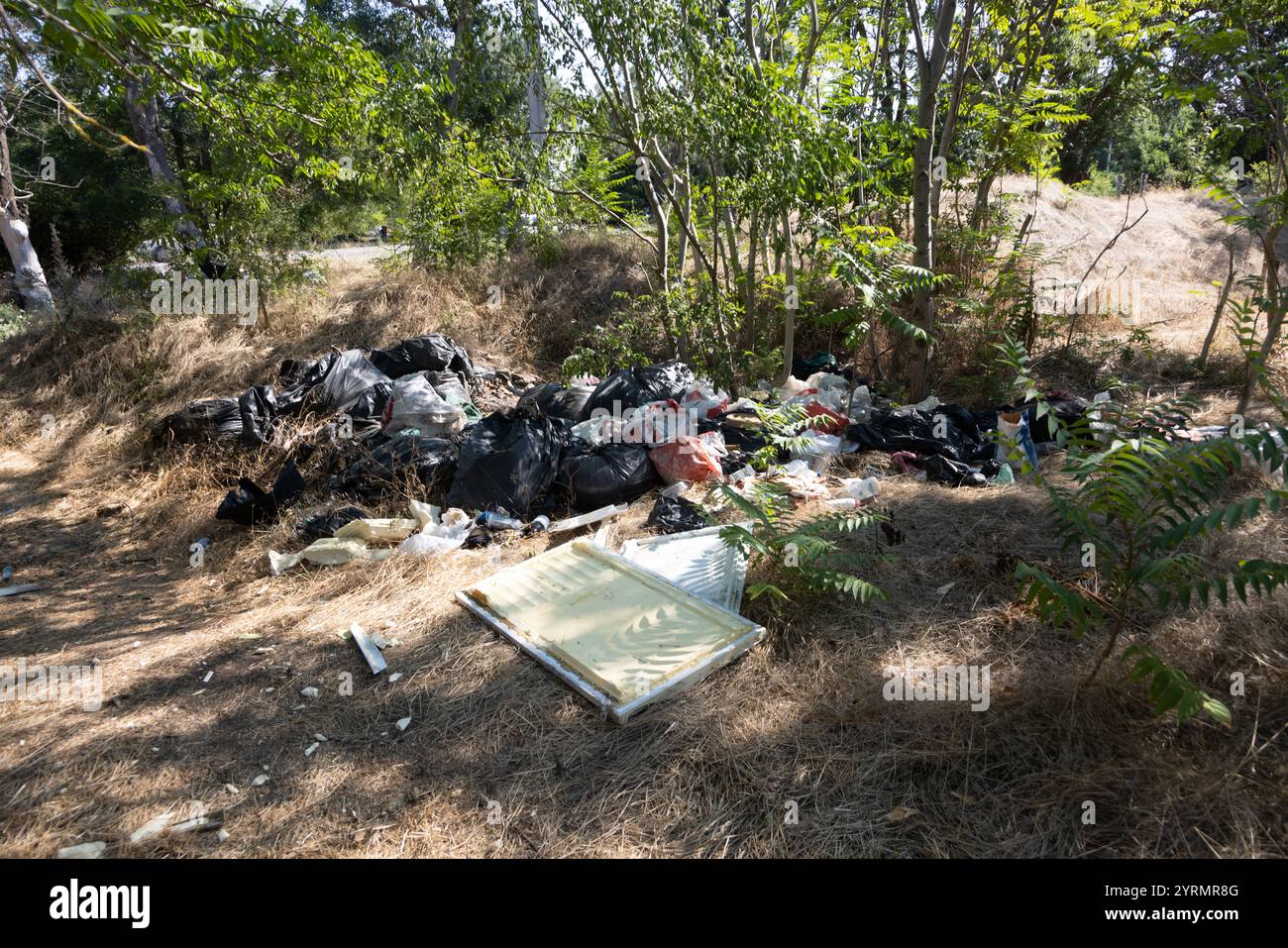 Household Garbage Pile Illegal Dumping Forest Pollution Environmental ...