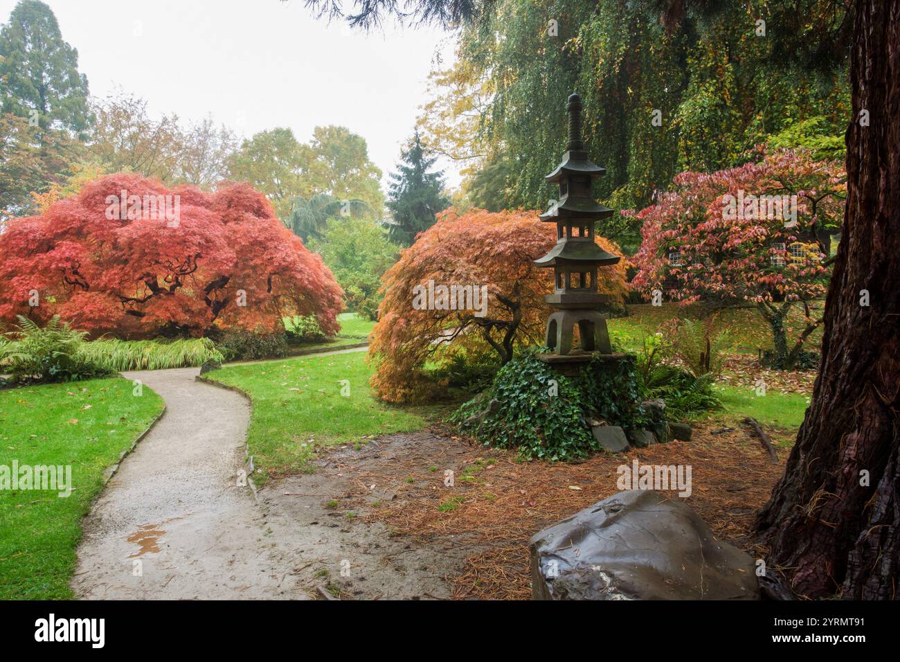 Dissected variety hi-res stock photography and images - Alamy