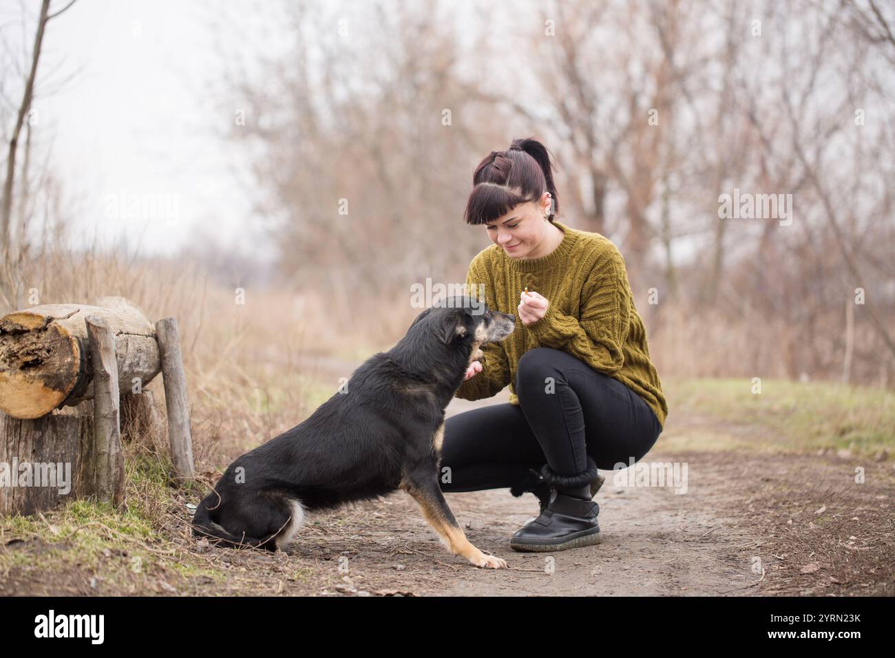 Female owner giving treats hi-res stock photography and images - Alamy