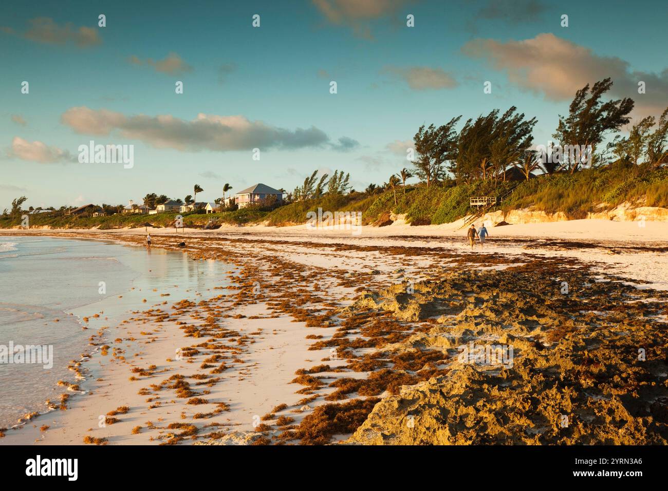 Bahamas, Eleuthera Island, Harbour Island, Pink Sands Beach, dawn Stock ...