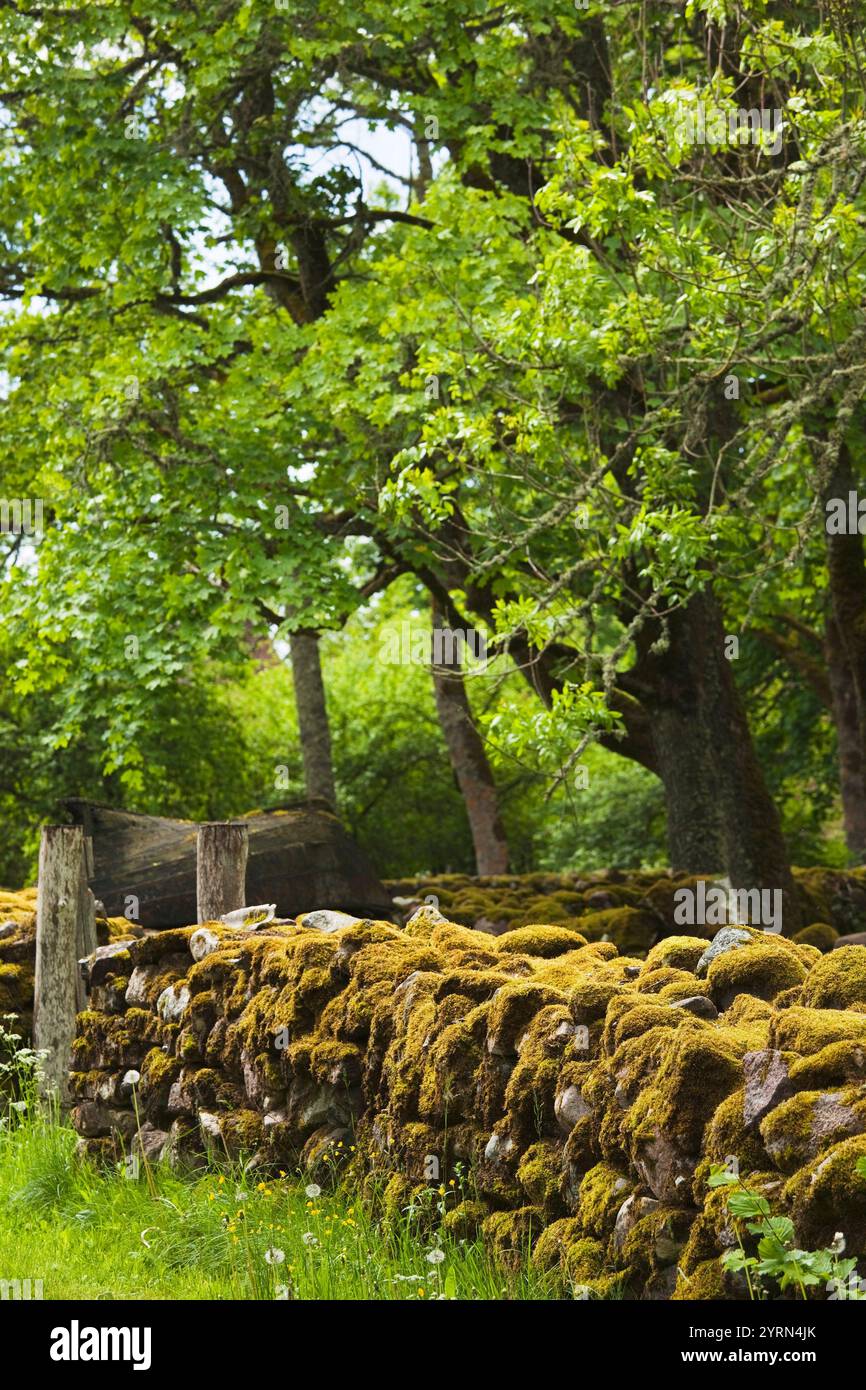 Estonia, Western Estonia Islands, Muhu Island, Koguva, Muhu Open Air ...