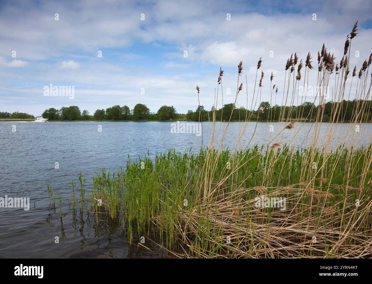 Lithuania, Western Lithuania, Nemunas Delta, Rusne Island, Uostadvaris ...