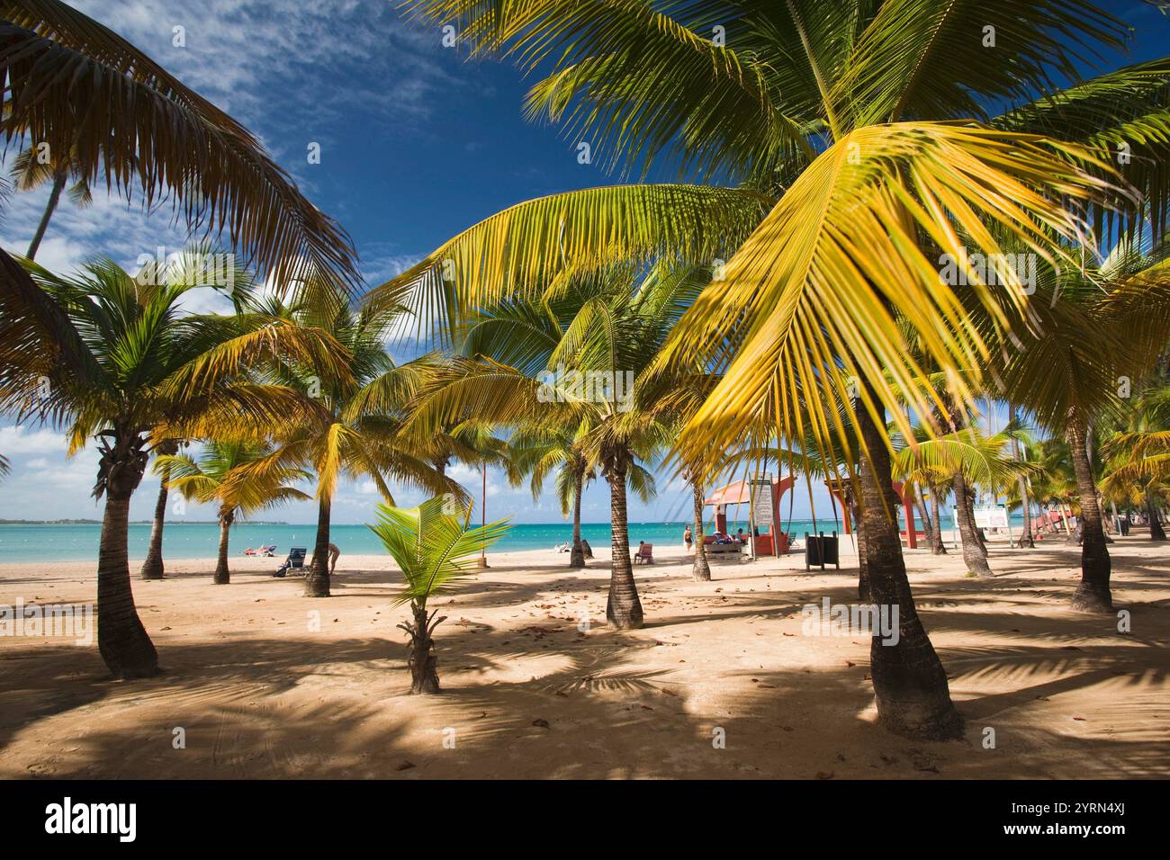 Puerto Rico, East Coast, Luquillo, Playa Luquillo Beach, palms Stock ...