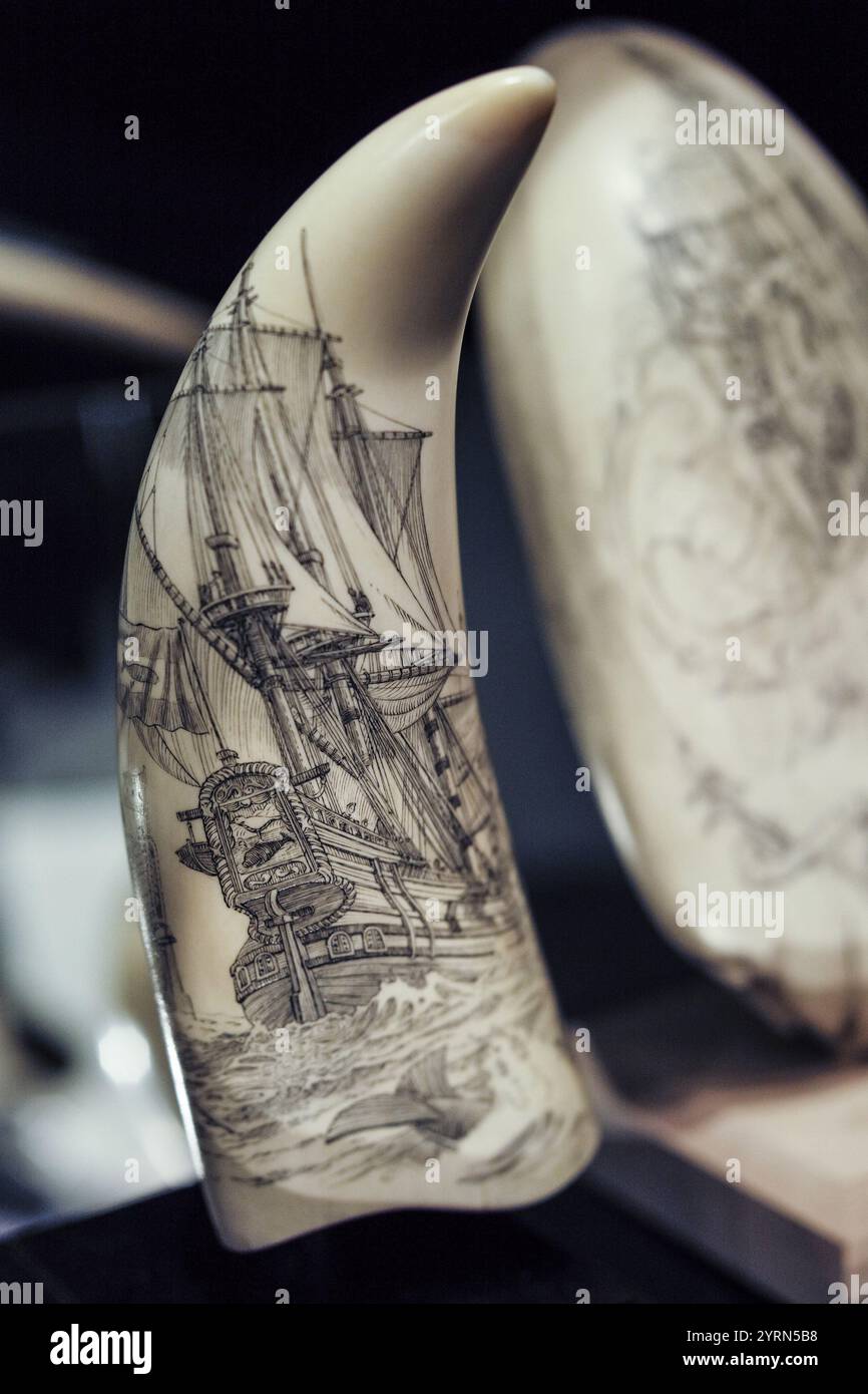 USA, Massachusetts, New Bedford, New Bedford Whaling Museum, scrimshaw ...