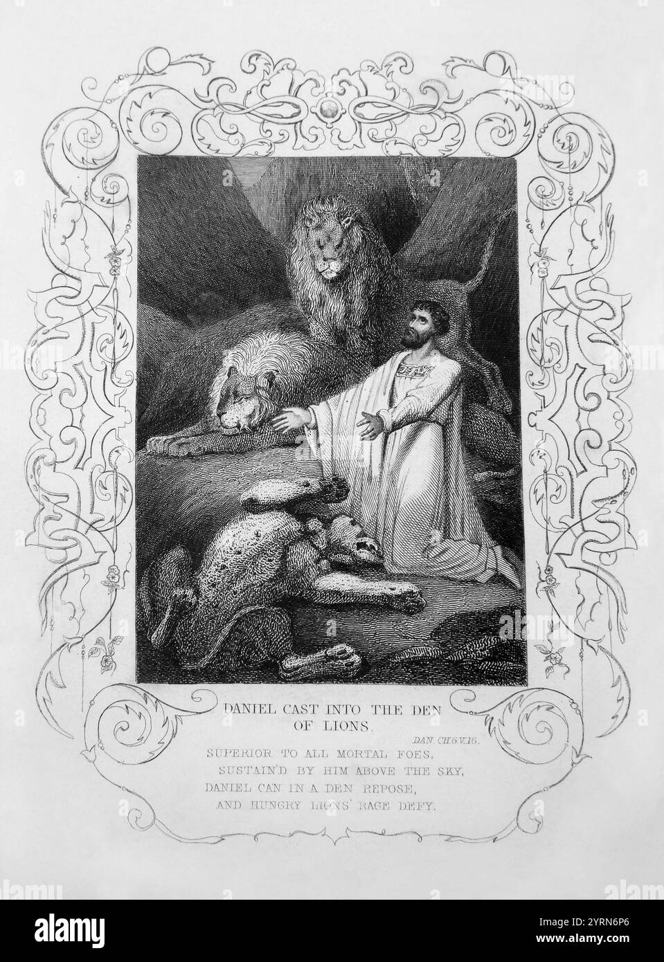 Steel Engraving of Daniel Cast into the Den of Lion (Daniel) from the ...