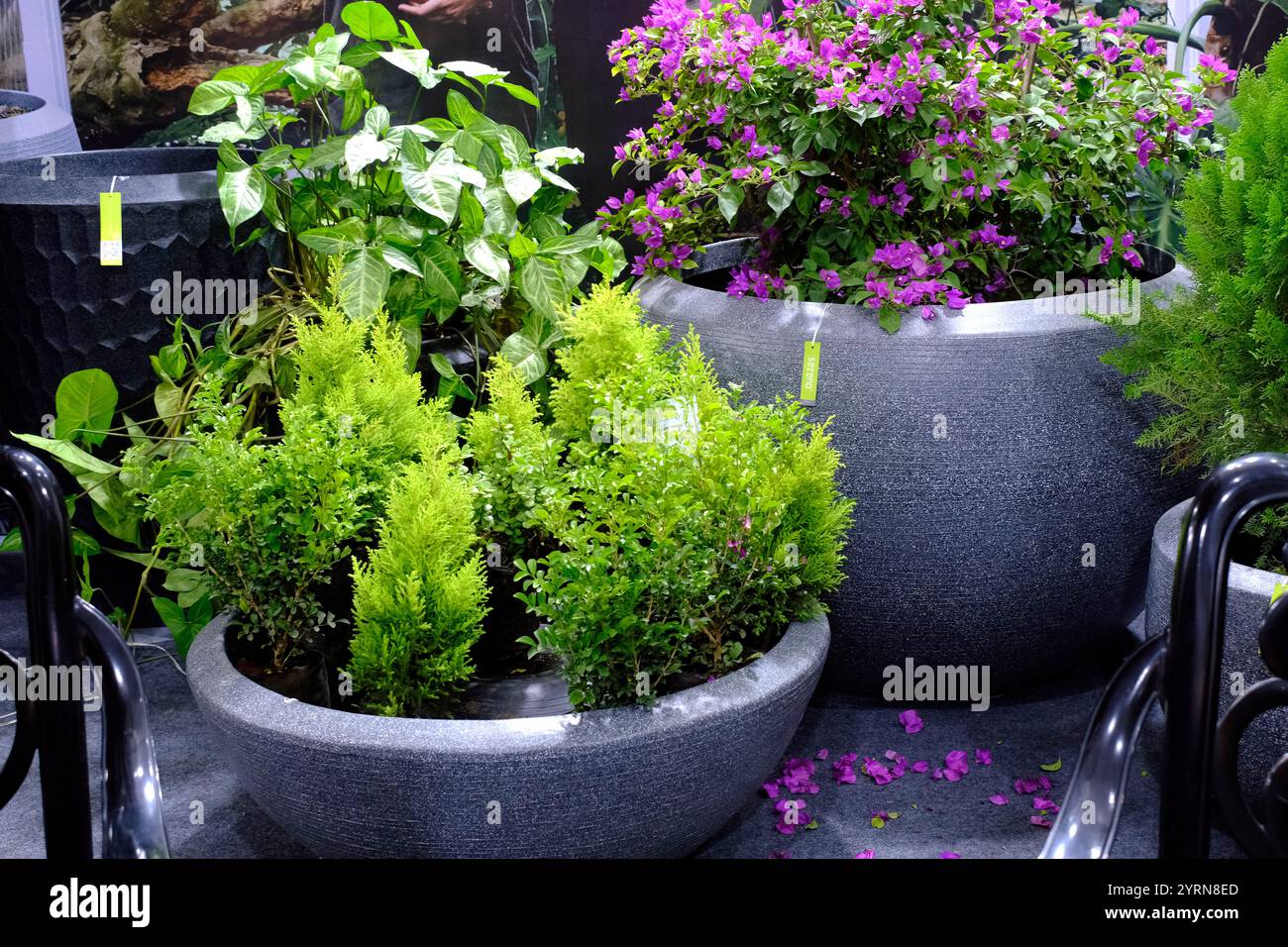 Indian Plants in an Indian Nursery, Overview of a Plant nursery with ...