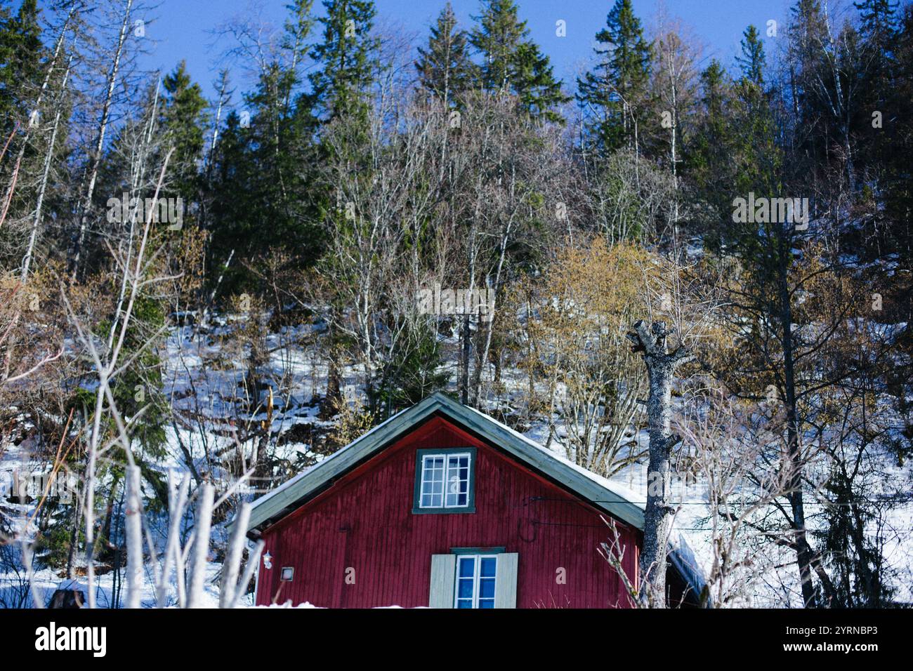 Red cabin in woods hi-res stock photography and images - Alamy