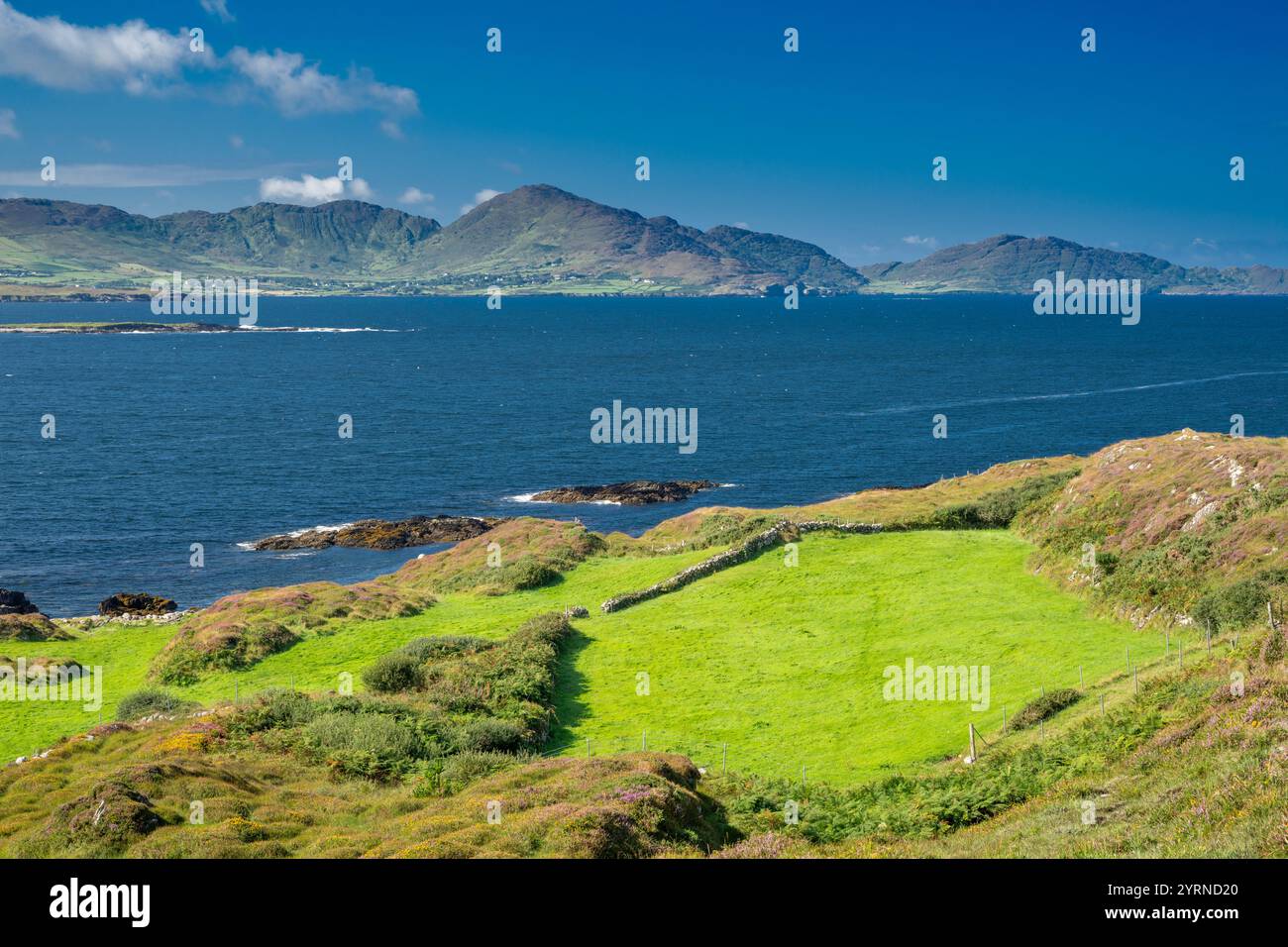 View across the Kenmare River (Kenmare Bay) towards Coulagh Bay and the ...