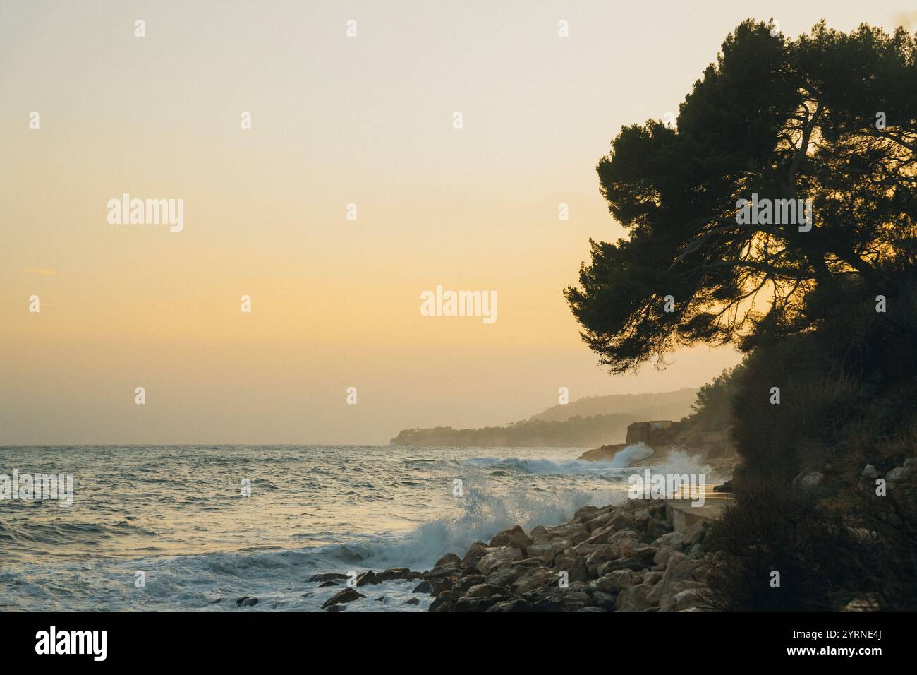 Arene cassis france hi-res stock photography and images - Alamy