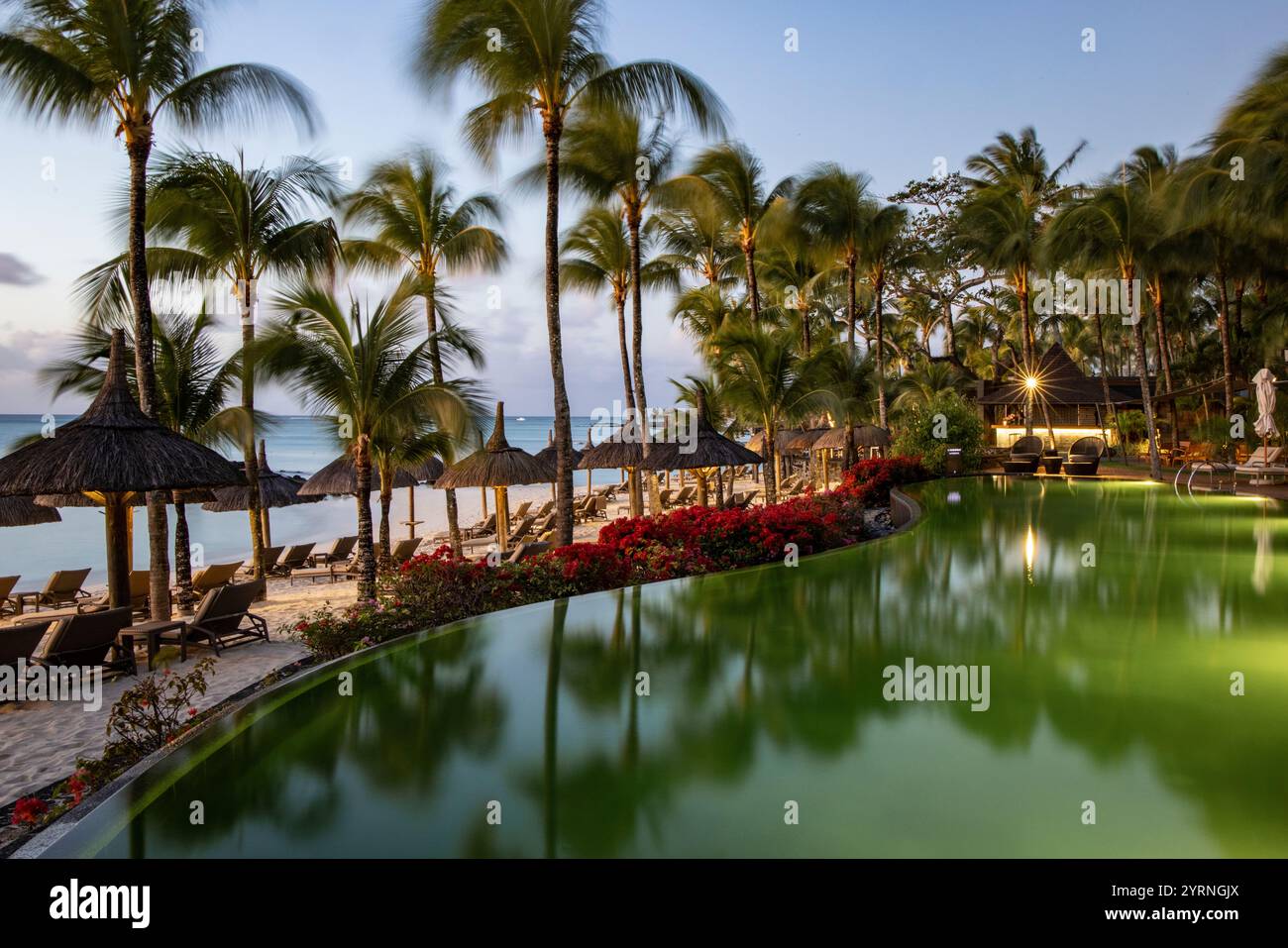 Swimming pool and thatched palapa umbrellas with coconut palms at Royal ...