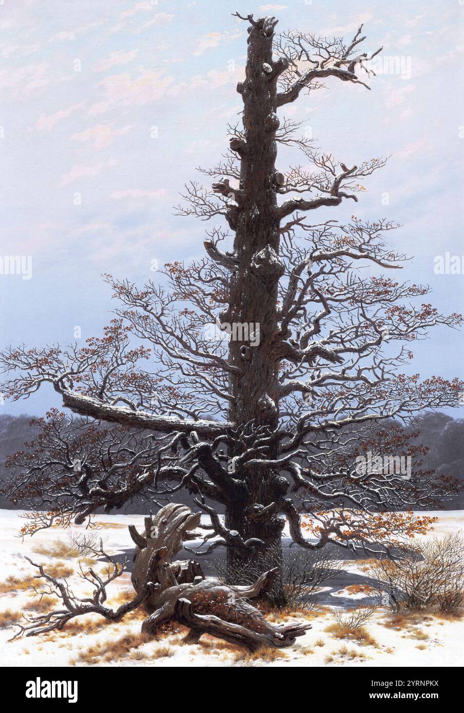 Oak tree in the snow. Caspar David Friedrich. 1829 Stock Photo - Alamy