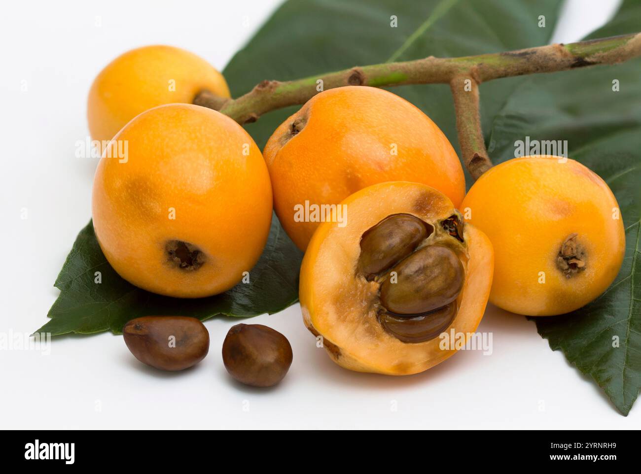 Loquat fruits isolated on a white background. Ripe fresh and yellow ...
