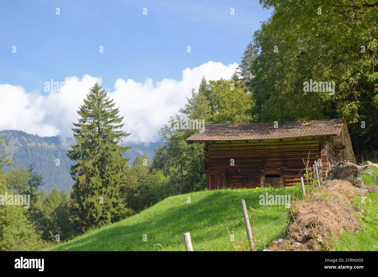 Traditional timber barn on the mountainside seen from Schynige Platte ...