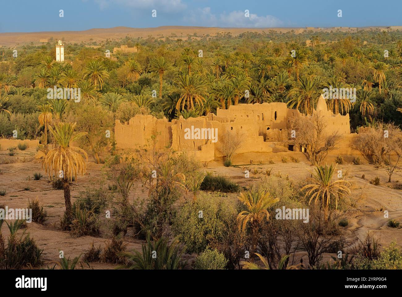 Date Palm Oasis of Skoura, Morocco Stock Photo - Alamy