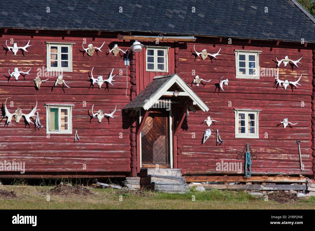 Wooden house, moose horn, antlers, trophies, Rondane National Park ...