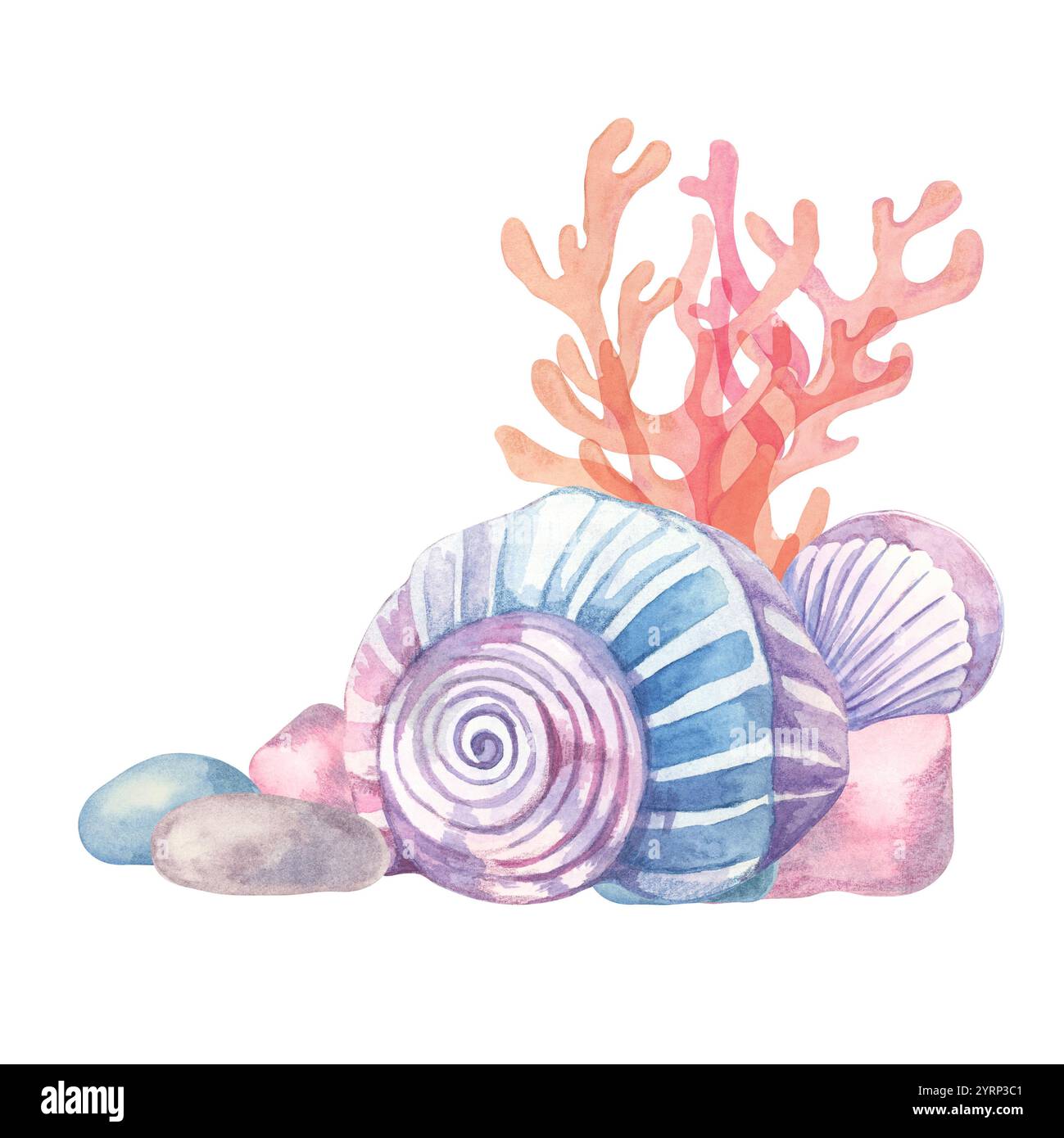Illustrated spiral shells hi-res stock photography and images - Alamy