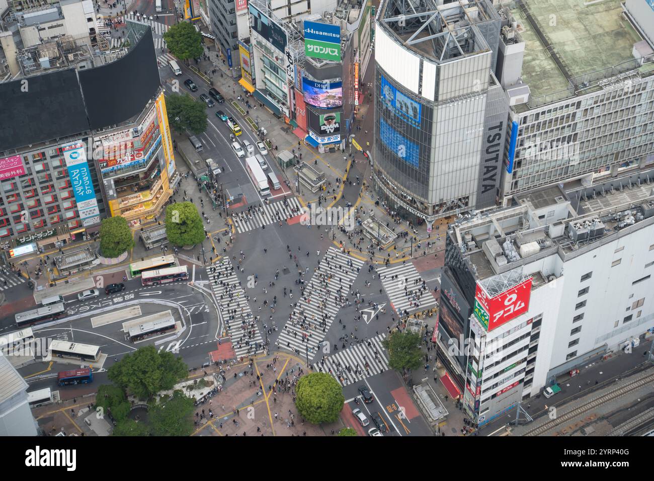 Scramble Crossing Shibuya, Tokyo, Japan Stock Photo - Alamy