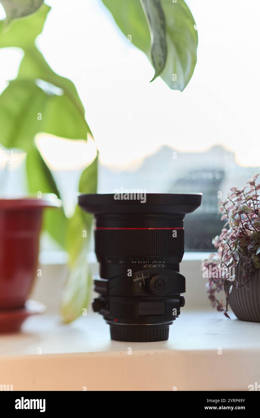 A camera lens on a windowsill, surrounded by indoor plants, enhancing ...
