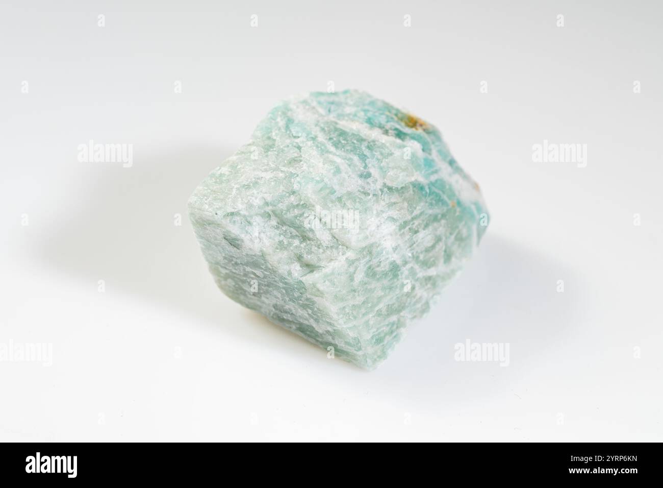 Intricate veining patterns hi-res stock photography and images - Alamy