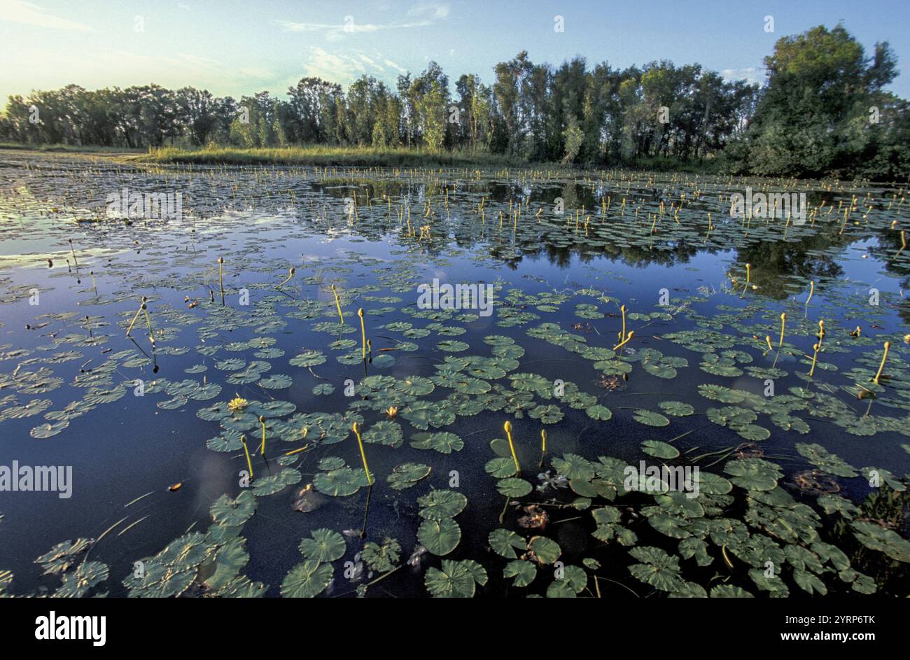 Australia; Northern Territory; Arnhem Land; Aboriginal Land Trust Stock ...