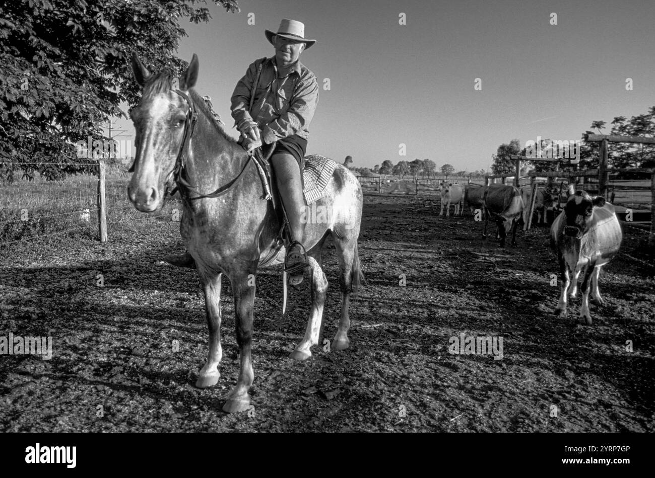 Oceania; Australia; Australian; Queensland; cowboy Stock Photo - Alamy