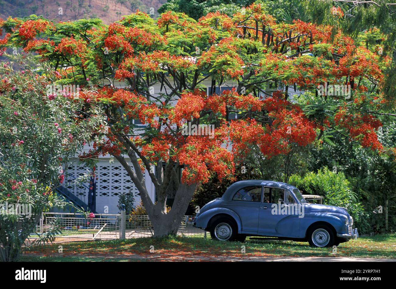 Oceania; Australia; Australian; Queensland; Townsville, Classic Car ...