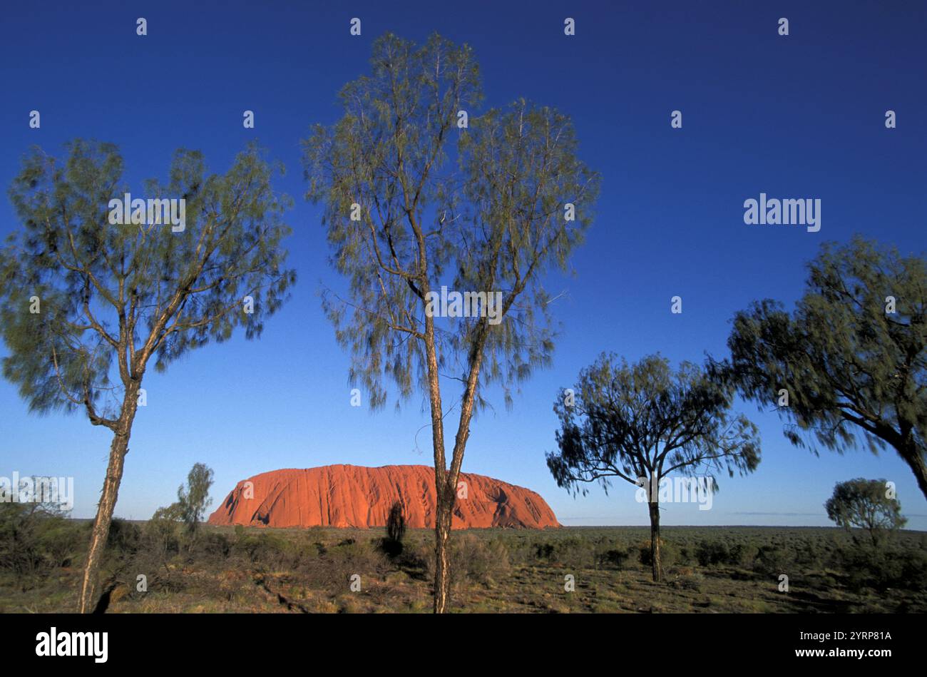 Oceania; Australia; Australian; Northern Territory; Red Center; Alice ...
