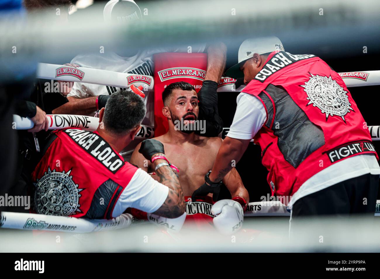 Carlos Fontes Bantamweight fight during their bantamweight fight at ...