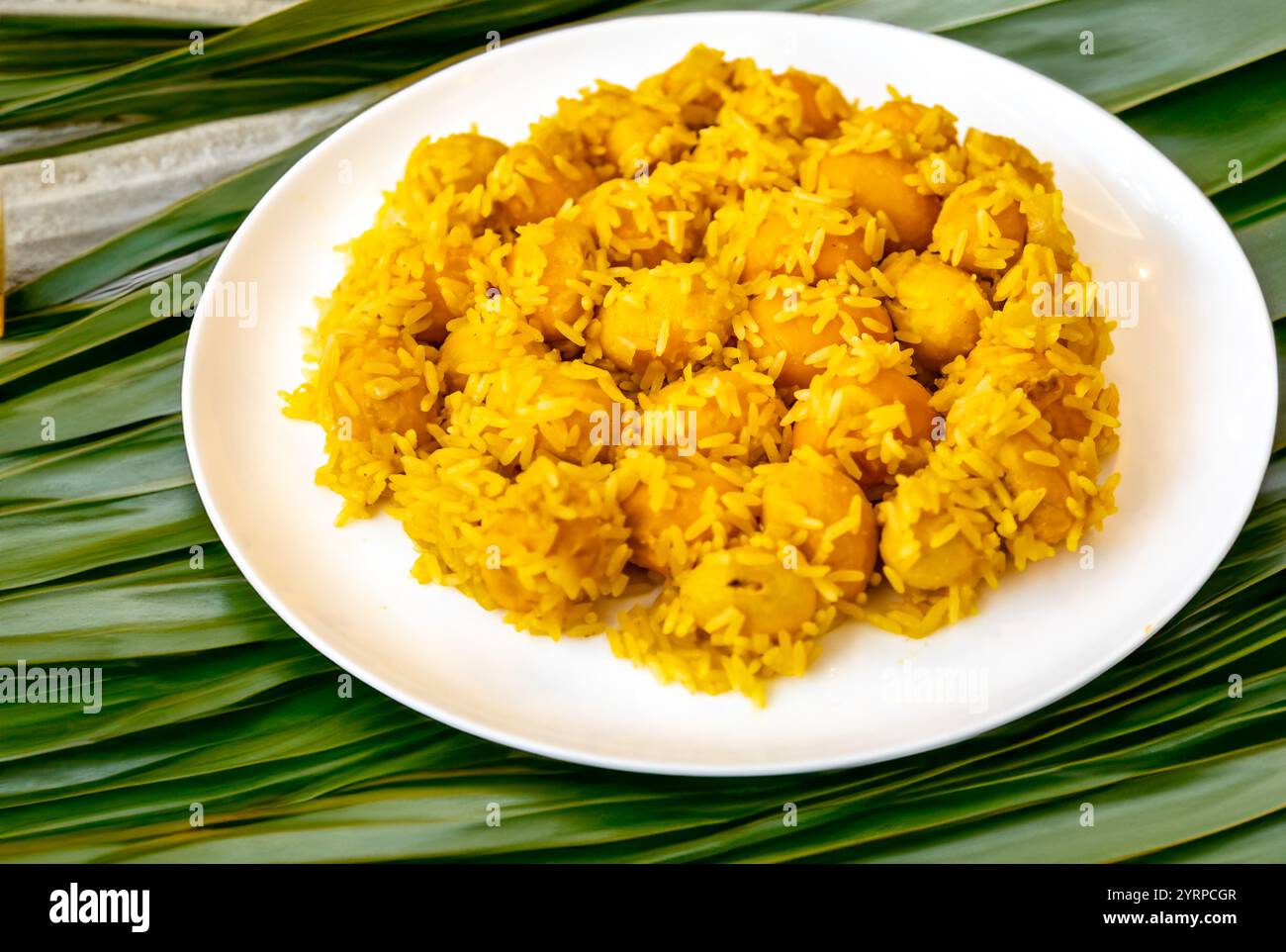 Traditional Brazilian dish chicken with pequi (caryocar brasiliense ...
