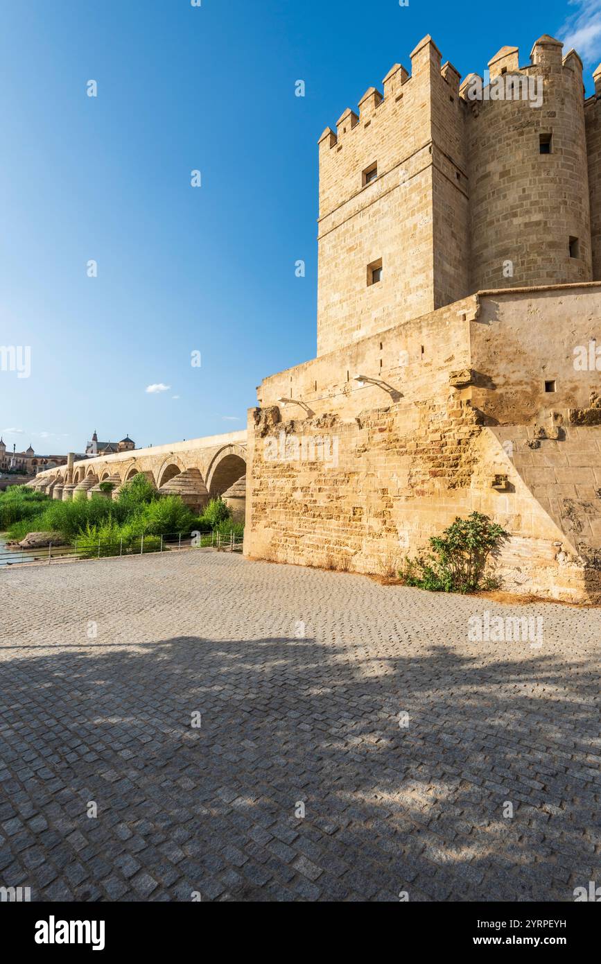 Torre de la Calahorra, Puente Romano and Mezquita Cathedral on the ...